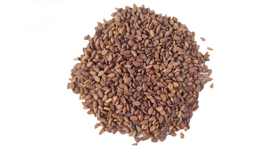 Red Sesame Seeds – HIERBAS DEL CIELO
