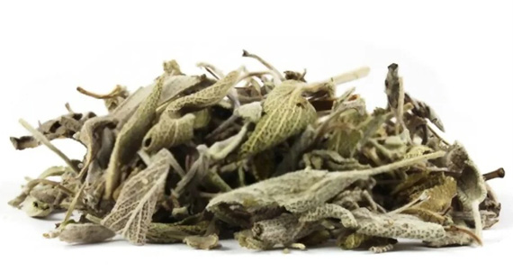 Sage – HIERBAS DEL CIELO